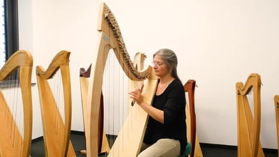 Salvi Titan Lever Harp 38 Str. NA – Musikhaus Thomann